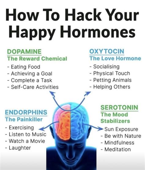 Ketan Bhambari On Linkedin 🤩 🎉serotonin Dopamine Endorphins And