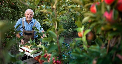 Difference Between Organic Farming And Conventional Farming Miditer