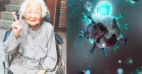 科学家发现活到上百岁的人 体内拥有大量免疫细胞与抗体 马来西亚诗华日报新闻网