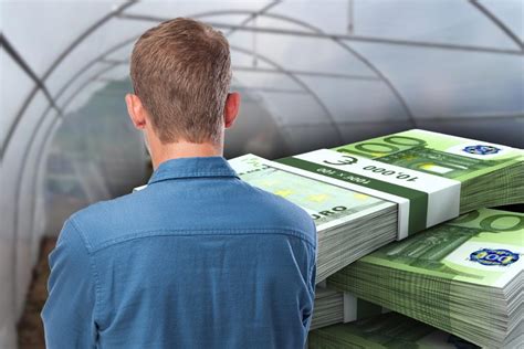 Afacerea cu care au dat lovitura agricultorii din România Leguma pe
