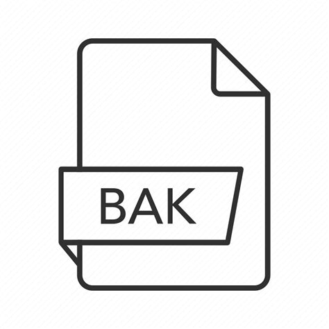 Backup Backup File Backup Icon Bak Bak File Bak File Icon Bak