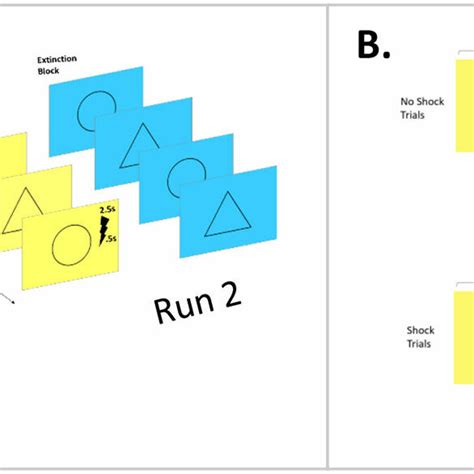 A Schematic Representation Of The Acquisition And Extinction Blocks Of Download Scientific