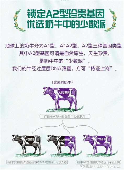 喝牛奶已进入选牛时代你准备好了吗 你听说过A2型奶牛吗 很久以前 自然界中的奶牛都是A2型奶牛经历数千年繁衍 A1型奶牛开始出现时