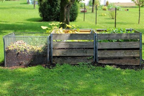 How To Dispose Of Cat Litter 9 Eco Friendly Disposal Tips