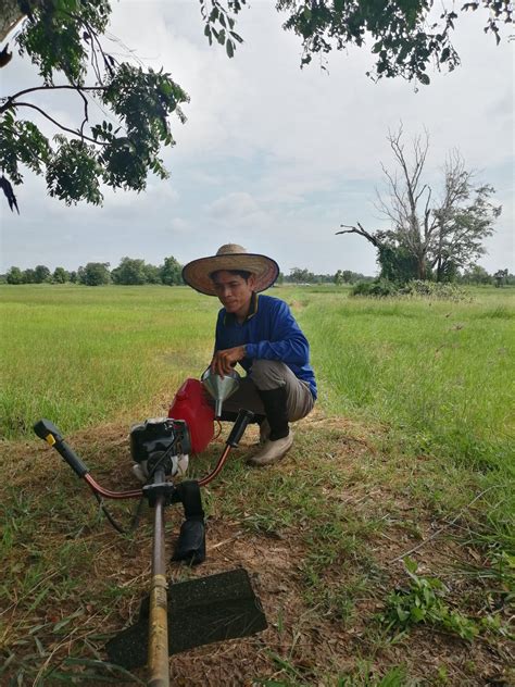 มะระ เที่ยวสองไปต่อๆ ข้าว ตัดดอกหญ้า Facebook