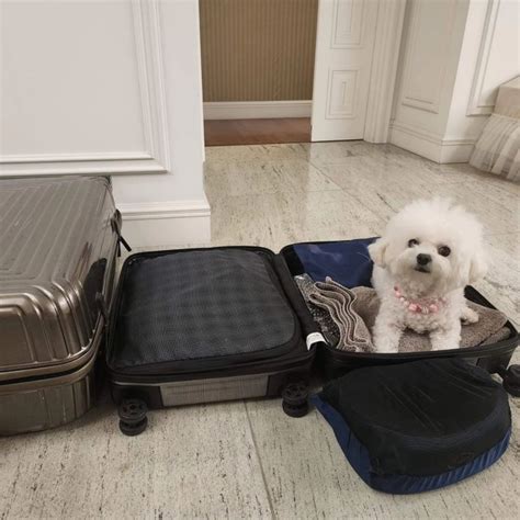 Linkedin 윤경변호사 페이지 【이태리 돌로미티 Dolomite 와 토스카나 Toscana 트래킹투어 1 】《영어 이디엄 Go Places는 무슨 뜻일까 내…