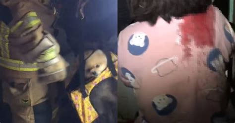 64強震震撼全台！民宅驚傳倒塌2大1小及毛孩受困 驚險救援曝光 社會 Ctwant