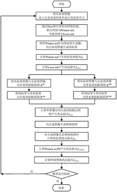 一种基于互竞双流网络的半监督医学图像分割方法