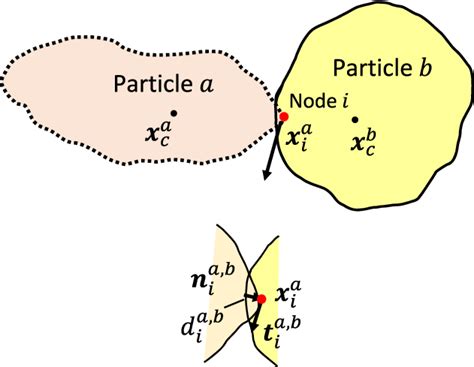 Schematic Of Two Contacting Particles The Penetration Has Been