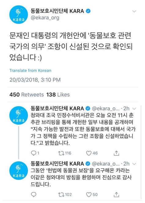 헌법에서 동물까지 챙기는 마루 찡찡이 토리 집사 문재인 인스티즈instiz 이슈 카테고리
