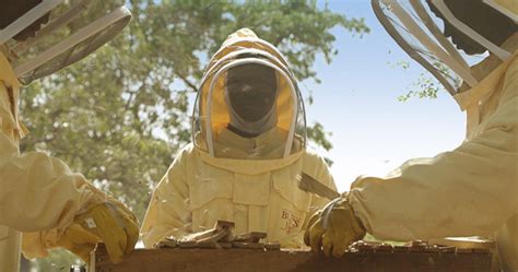 Burt’s Bees: Documenting progress against our sustainability pillars ...