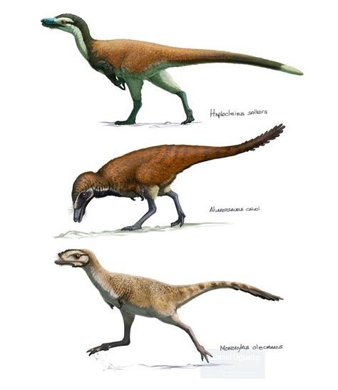 Mononykus Prehistoric Wiki Fandom