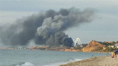 На военном аэродроме Севастополе расцвёл хлопок ФОТО Planetapress