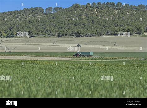 Higher Crop Yields Linear Irrigation Systems Are Often Used On Higher