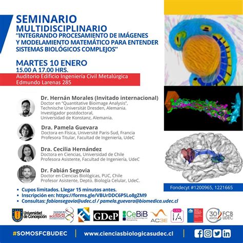 Cs Biológicas Udec On Twitter 🧬comunidadfcb Te Invitamos Al