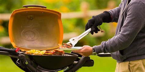 Best Weber Gas Grill 2024 India Albina Shanie