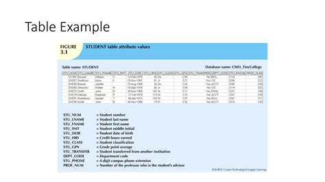Relational Data Modelpptx