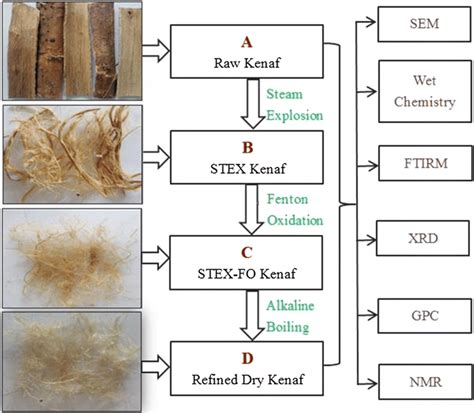 Schematic Diagram For The Experiment Download Scientific Diagram