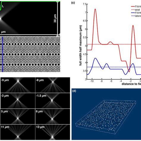 Optical Simulation Of Light Field Excitation Sampling With A