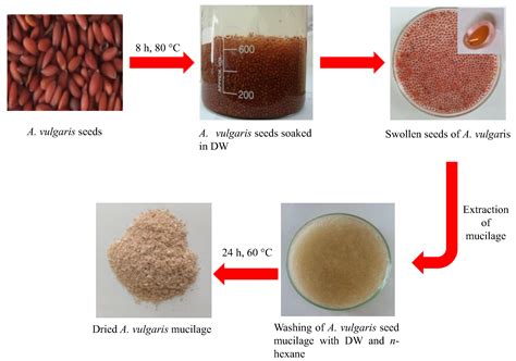 Polysaccharide Based Hydrogel From Seeds Of Artemisia Vulgaris