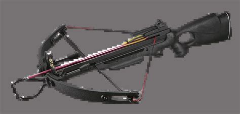 All Types Of Crossbows The Complete Guide To Archery