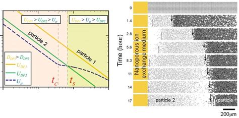 A The Plot Of U DP S Of Particle 1 And 2 Having Different