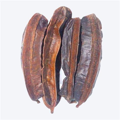 Prekese Tetrapleura Tetraptera Ekess Exotic Foods