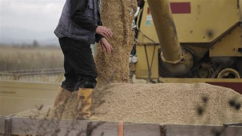 Unloader Bilder Stock Fotos And Videos Adobe Stock