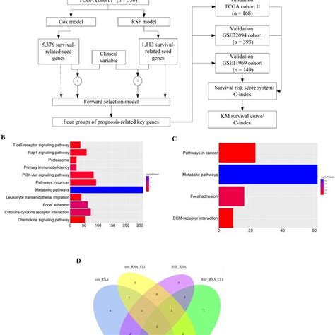 Identification Of Prognostic Gene Signature A Flowchart Of Rna Seq