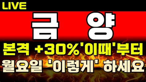 금양 주가전망 미노출 시외급락 유상증자정정 흔들리는건 심리뿐 트럼프 당선이 오히려 호재 세계최초 4695 개발한