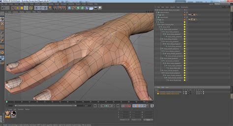 Australian Female Hand Rigged For Cinema 4d 3d Model 79 C4d Free3d