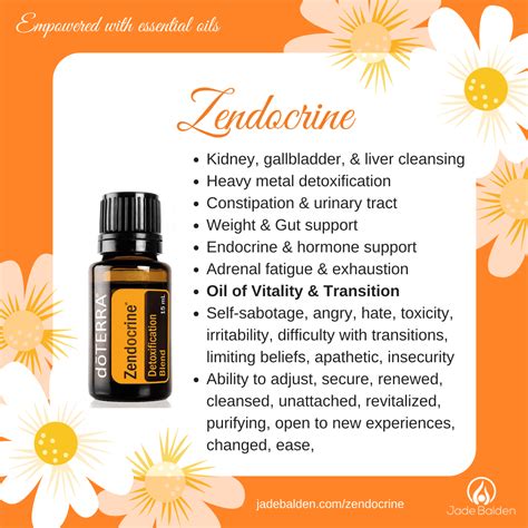 Zendocrine Blend | Jade Balden