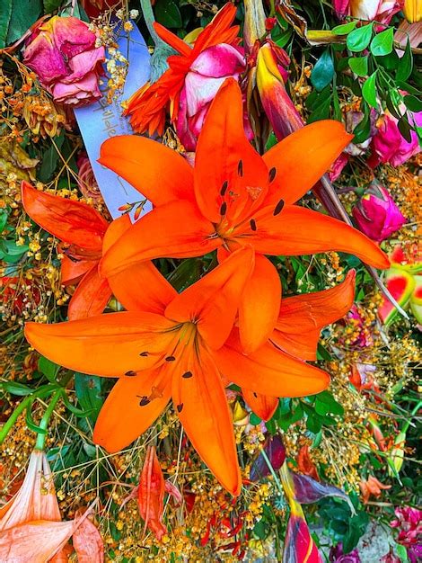 Diferentes Tipos De Flores Naturais Foto Premium