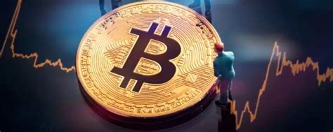 Apesar do mercado de baixa holders de Bitcoin estão em ascensão