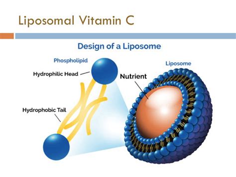 Liposomal Vitamin C Injection At Marcus Lewis Blog