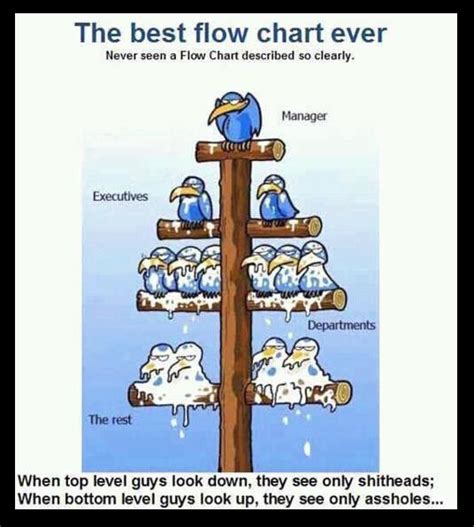 Business Flow Chart Funny Flow Charts Work Humor Workplace Humor