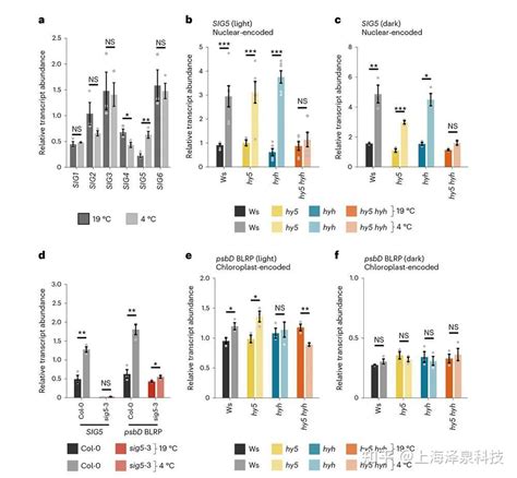 Nature Plants：sigma因子sig5整合拟南芥响应低温和昼夜节律信号 知乎