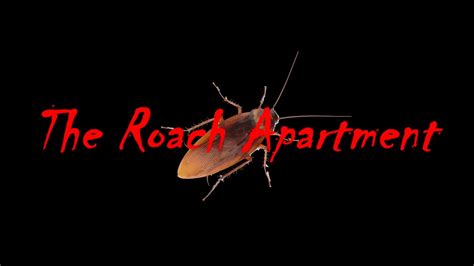 The Roach Apartment Youtube