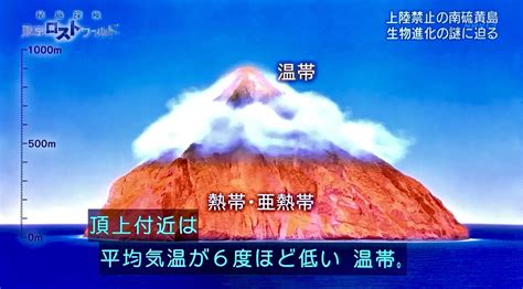 絶海の孤島「南硫黄島」へ各分野の研究者が集結した科学調査隊が探検を敢行、困難の末に貴重な発見が次々と！ Nhkスペシャル 4ページ目