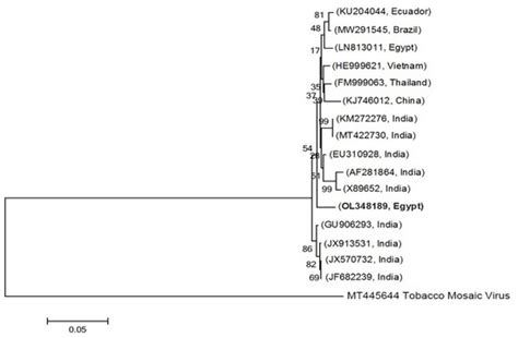 Plants An Open Access Journal From Mdpi