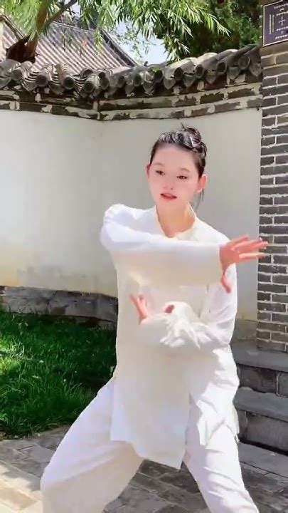 Tai Chi 太极拳真正的爆发力，如雷霆乍现，势如排山倒海 Taichi Taichiquan Kungfu 太极 太极拳