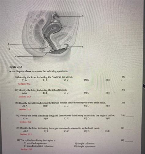 Solved D E B Figure Use The Diagram Above To Answer The Chegg Com