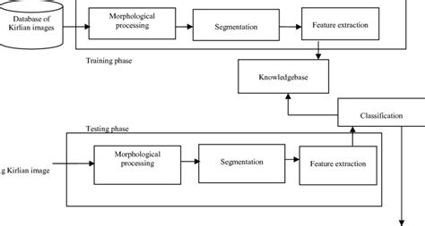 Procedural Steps Used In The Analysis Download Scientific Diagram