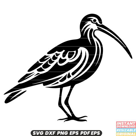 Snipe Bird Svg Snipe Bird Dxf Snipe Bird Png Avian Designs For