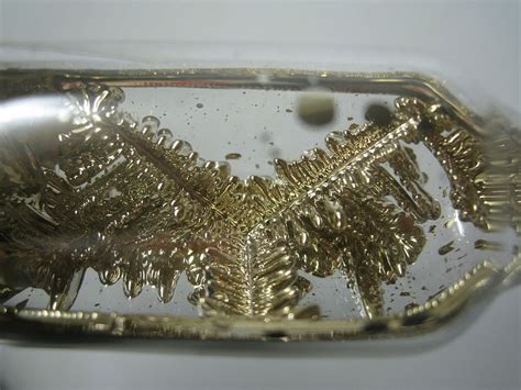 Cezis Visuotinė Lietuvių Enciklopedija