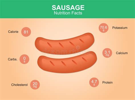 Sausage Nutrition Facts Sausage With Information Sausages Vector