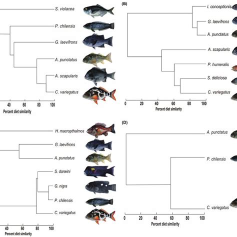 Relative Prey Availability At The Different Sampled Sites Download Scientific Diagram
