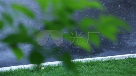湿漉漉意思同义词拼音第2页大山谷图库