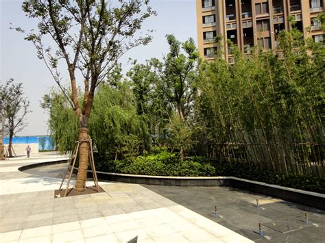 长江国际花园二期A1区泓园 江苏景苑绿化建设有限公司