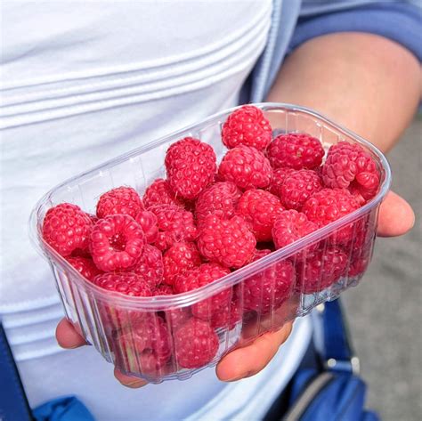 9 Keto Friendly Fruits That Are Low In Carbs High In Flavor